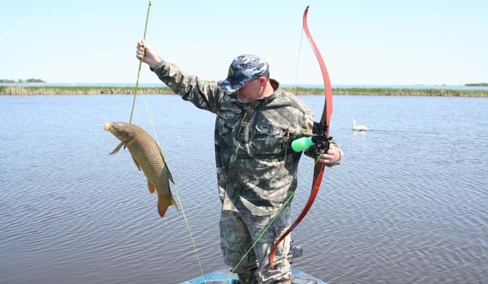 Bowfishing: 7 Tips to Help You - Hafaspot