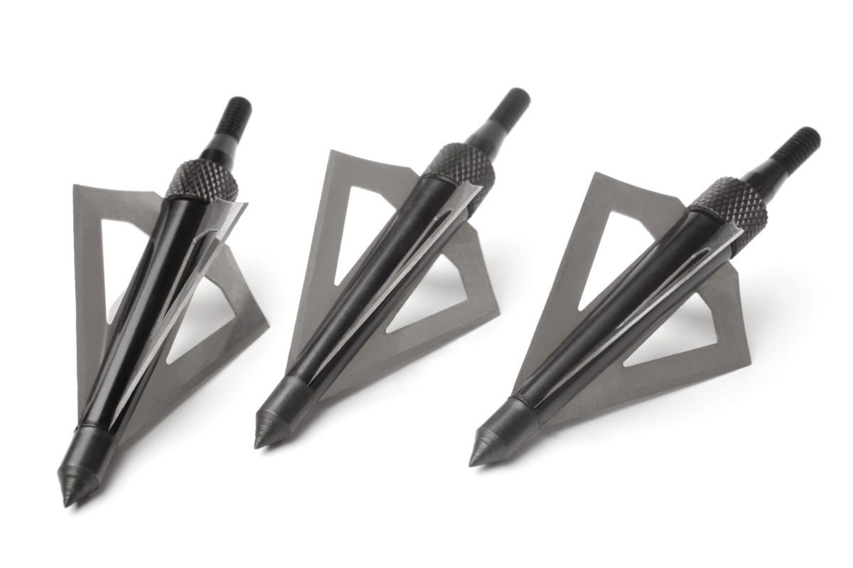Choosing the best Broadheads for specific game - Hafaspot