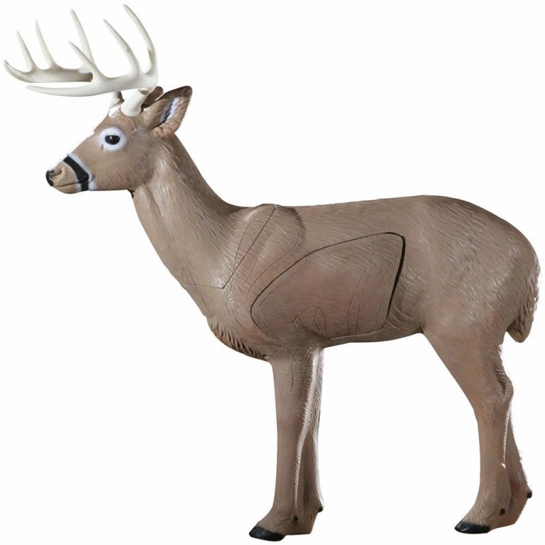 The Best 3D Deer Targets for Archery & Crossbow - Hafaspot